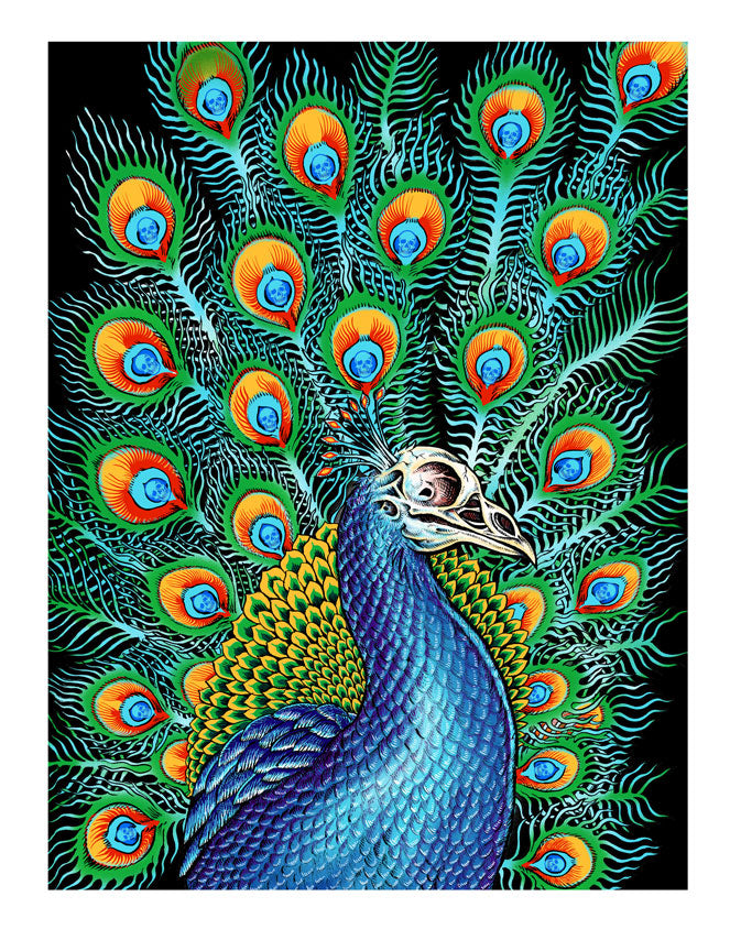 Peacock • Art Print – Emek Studios