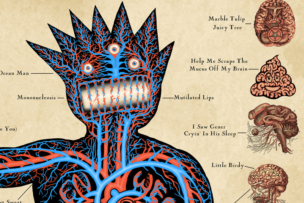 WEEN “Transdermal Celebration chart” (2 posters) – Emek Studios